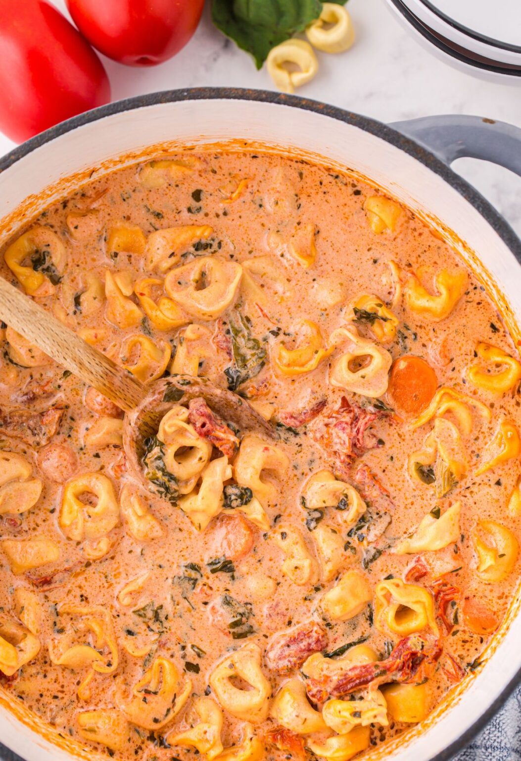 Sun-Dried Tomato Creamy Tortellini Soup - Happy Family Recipes